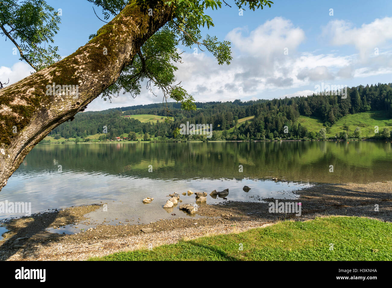 Grosser alpsee lake hi-res stock photography and images - Alamy