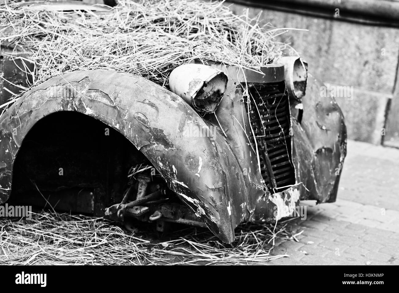 Old abandoned car with hay on engine Stock Photo - Alamy