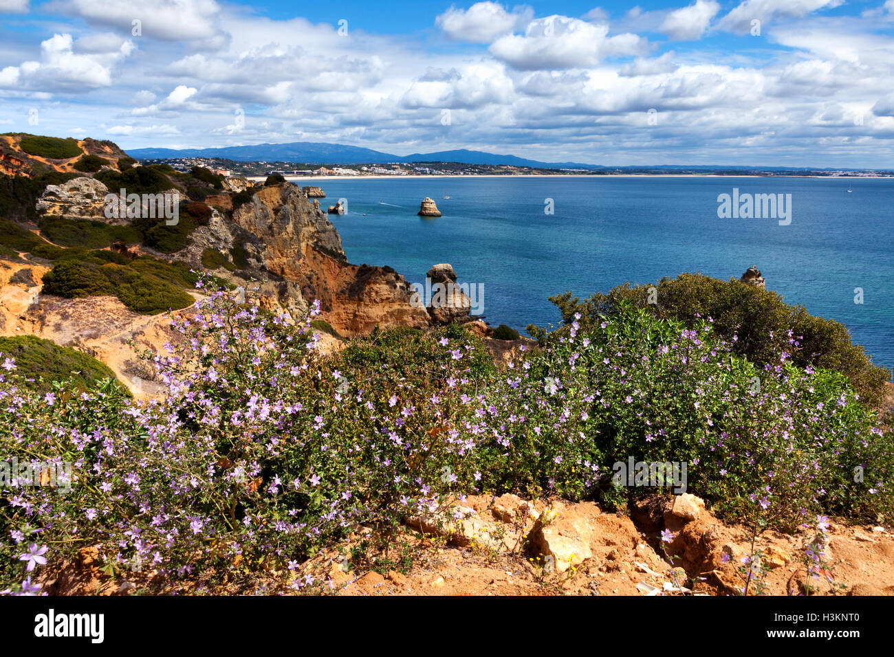 Algarve beach portugal flowers hi-res stock photography and images - Alamy