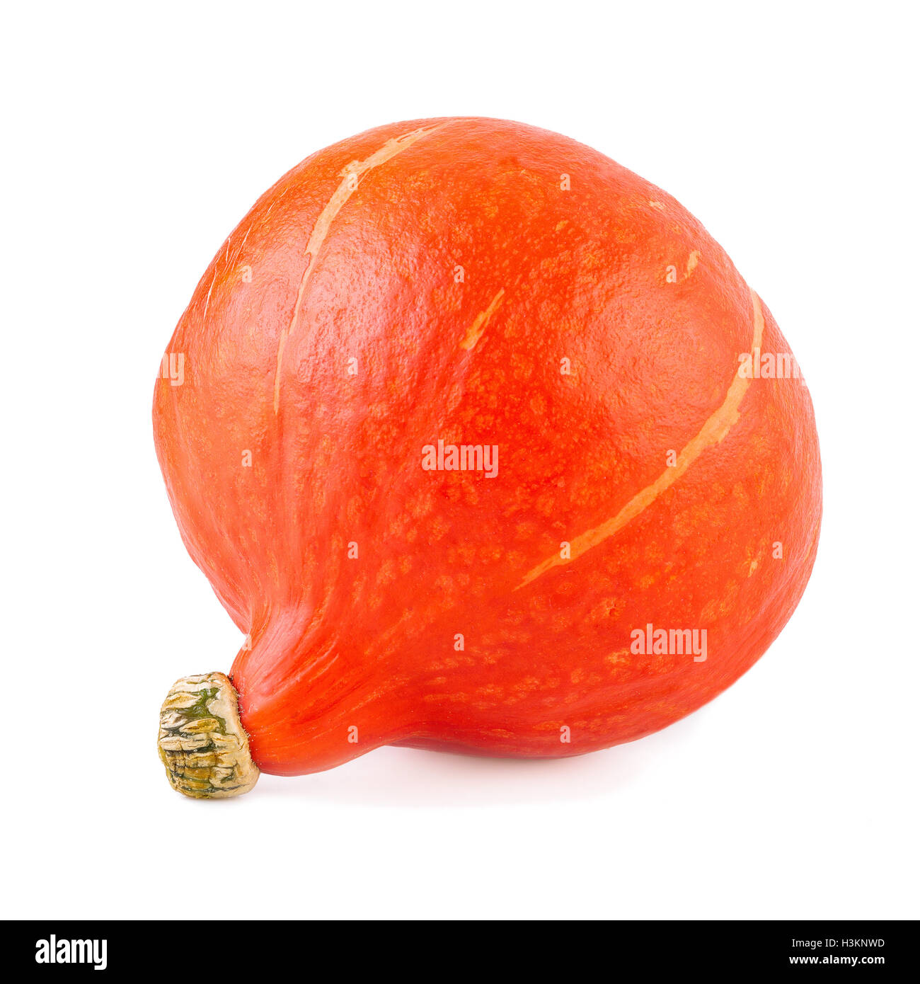 Hokkaido squash one single isolated on white Stock Photo - Alamy