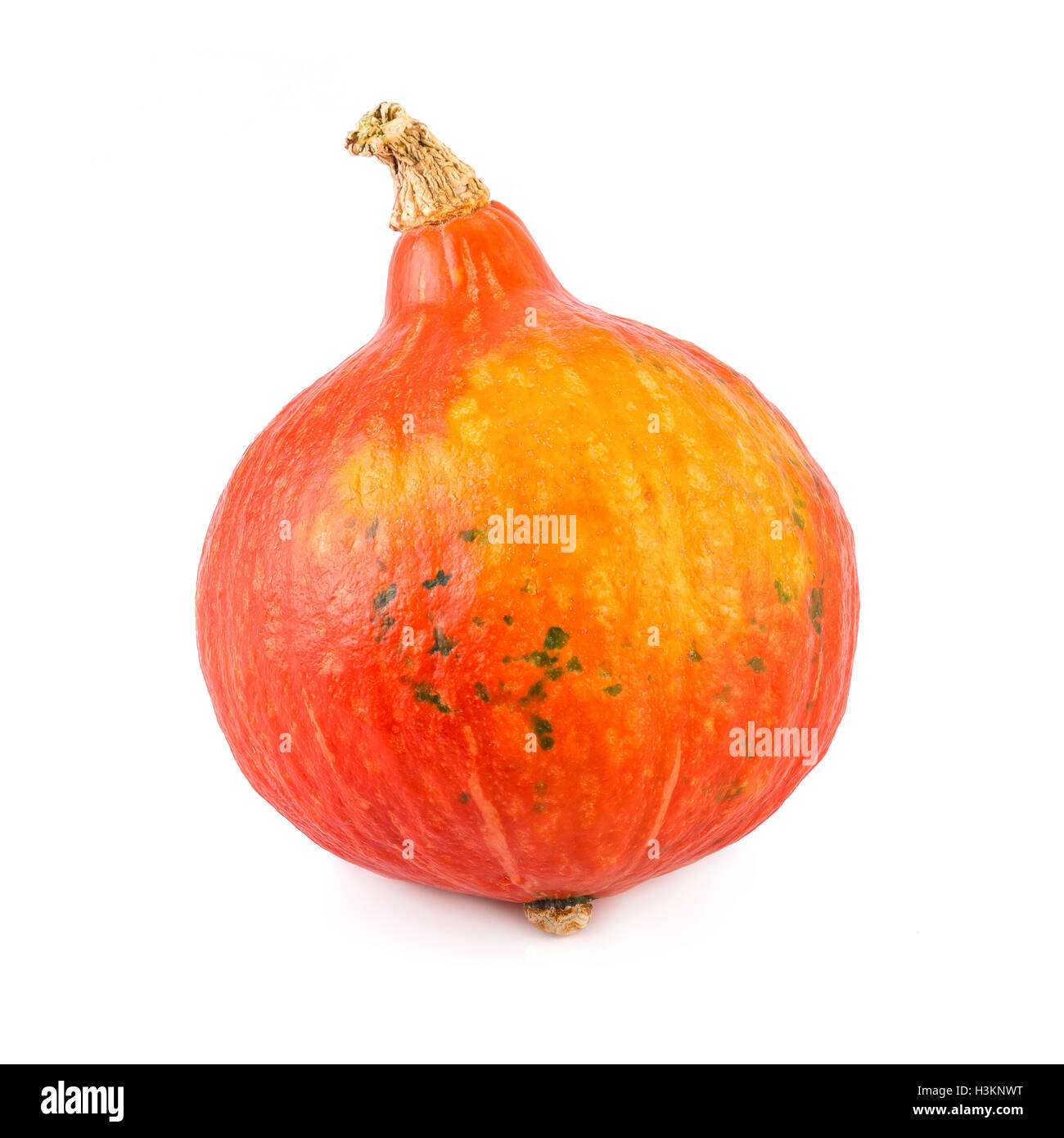 Hokkaido squash hi-res stock photography and images - Alamy