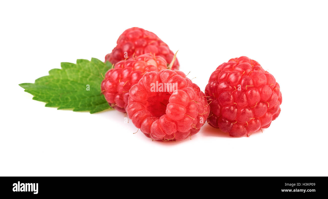 Raspberries with Mint Leaf Stock Photo - Alamy