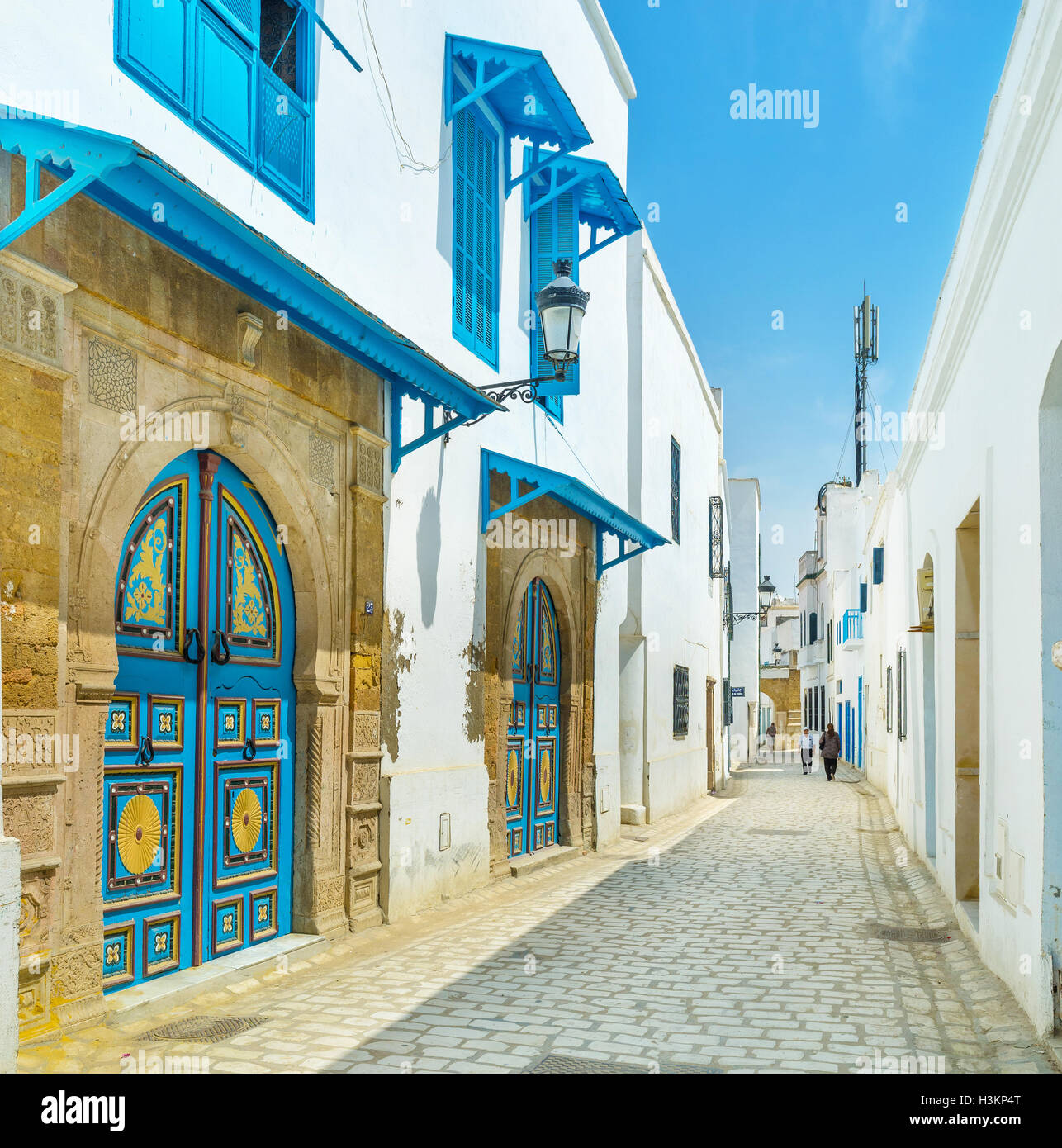 The modest arabic houses often boast unique colorful doors in Tunis ...