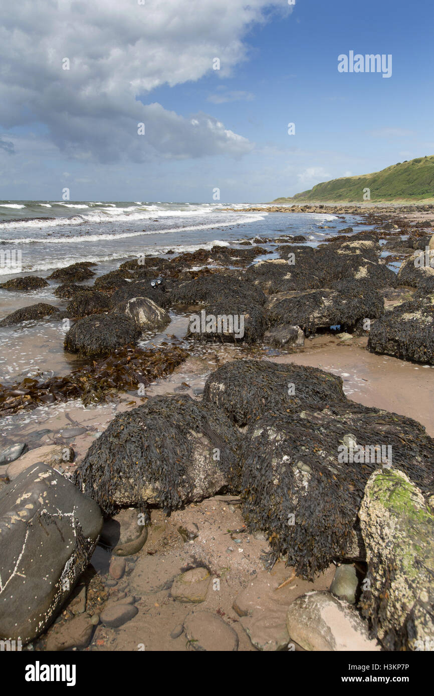 Ayrshire Coast, Scotland. The Ayrshire coastline at Croy Beach in ...