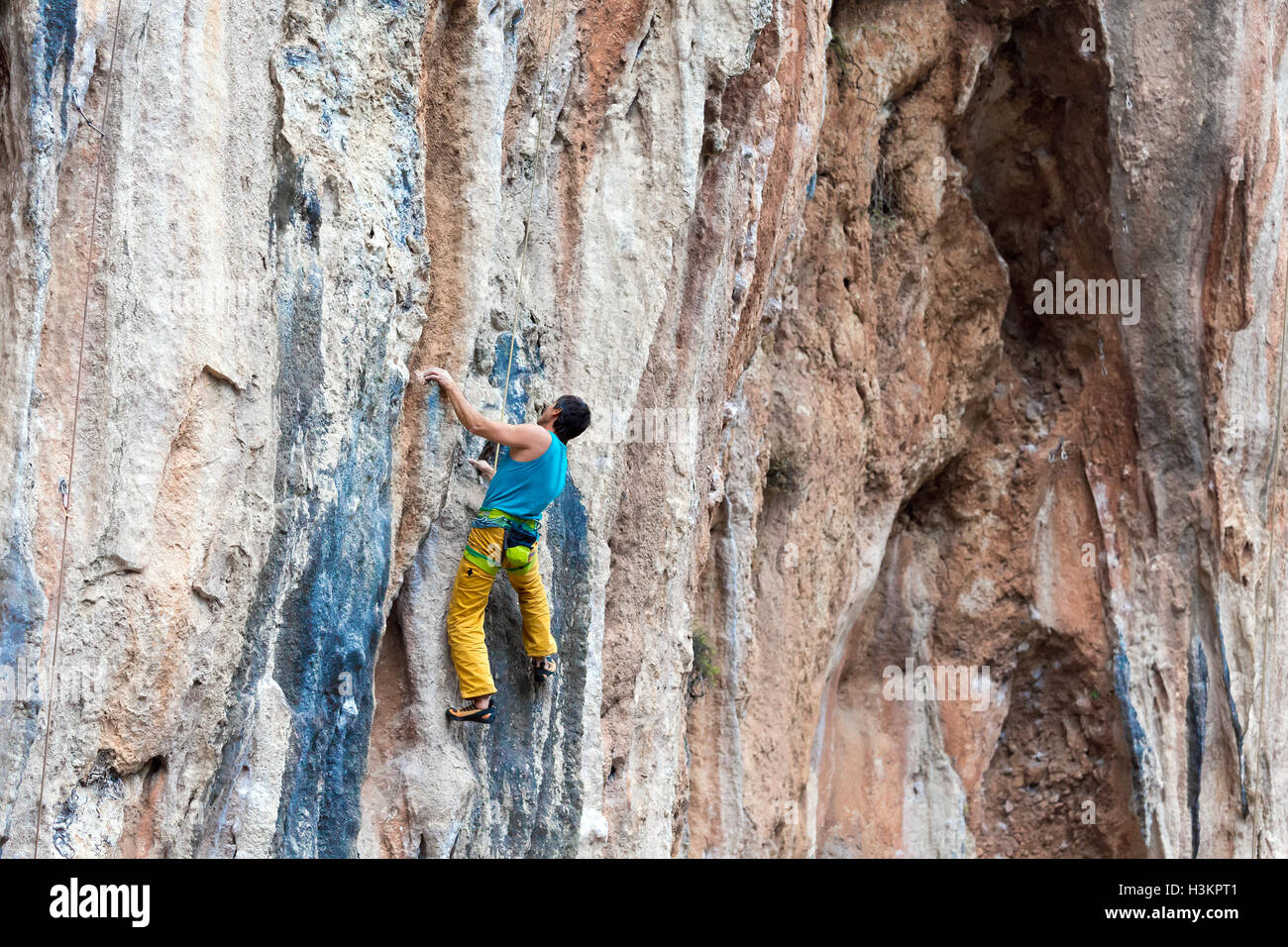 Mature Rock Climber ascending steep colorful rocky Wall Lead Climbing ...