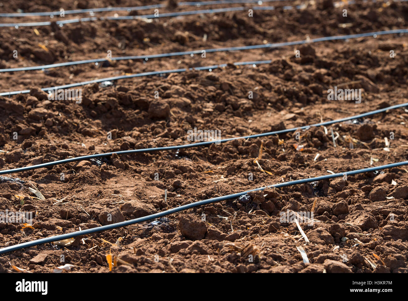 Drip irrigation system africa High Resolution Stock Photography and ...