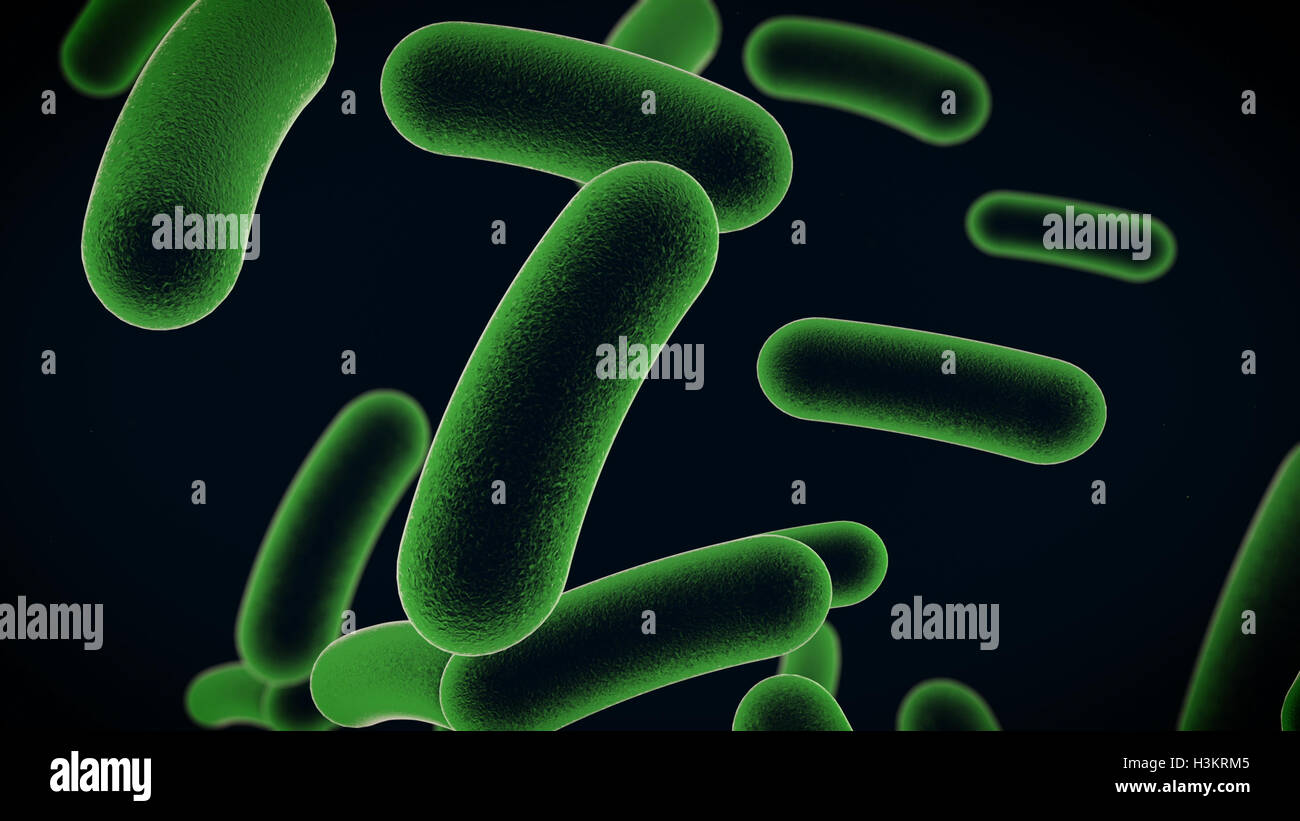 3D rendering of bacteria cells Stock Photo - Alamy