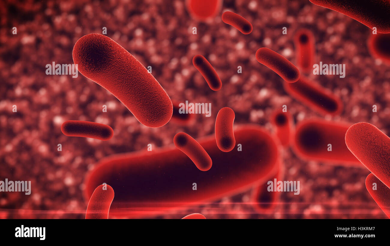 Mycobacterium tuberculosis microscope hi-res stock photography and ...