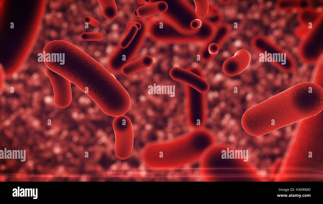 Mycobacterium tuberculosis microscope hi-res stock photography and ...