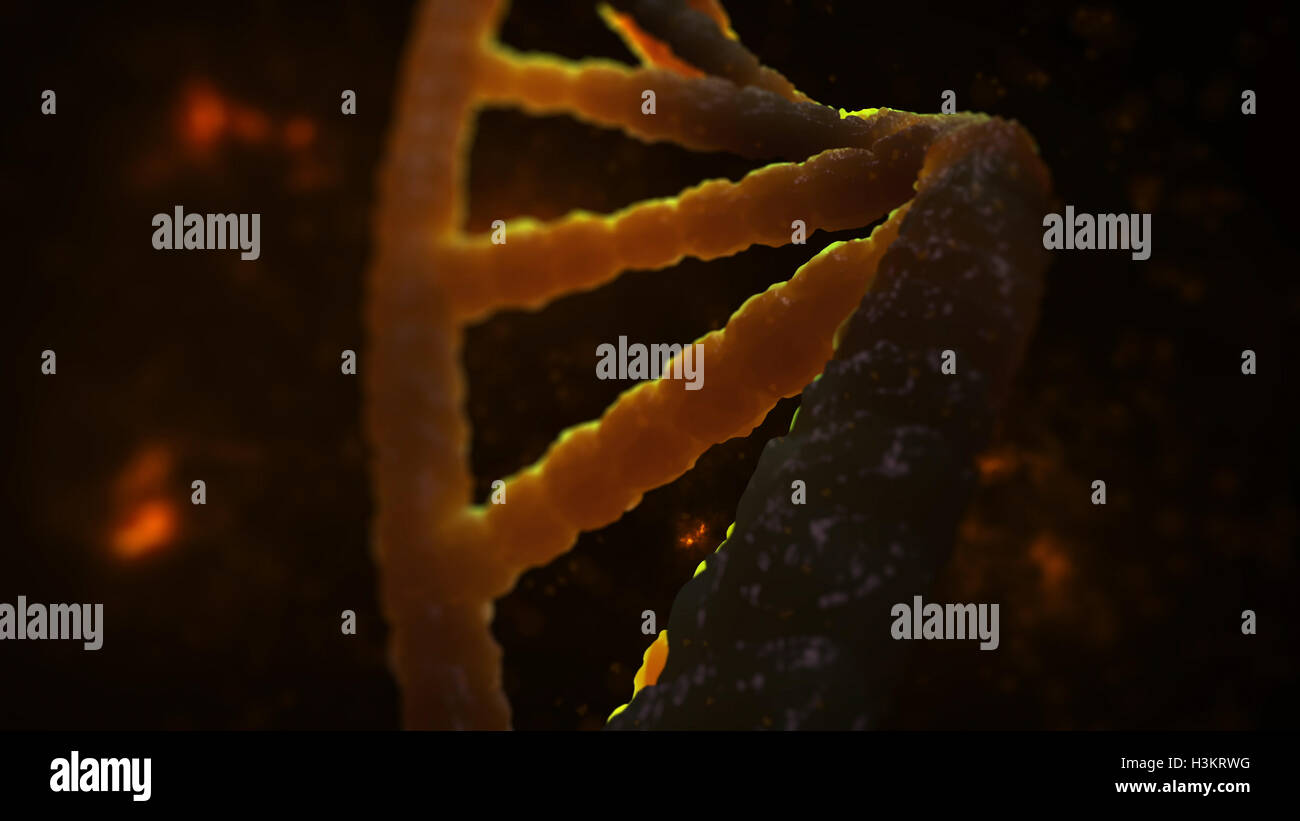 3d rendering of 3D DNA structure with Depth of fields Stock Photo - Alamy