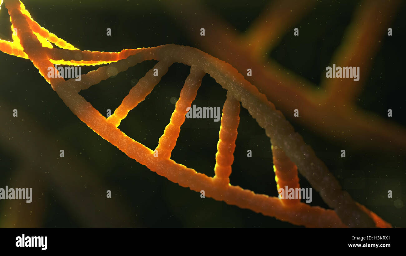3d rendering of human dna string on dark background Stock Photo - Alamy