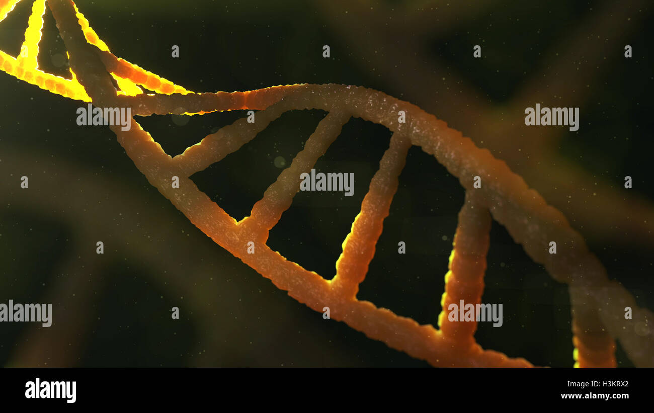 3d dna replication model hi-res stock photography and images - Alamy