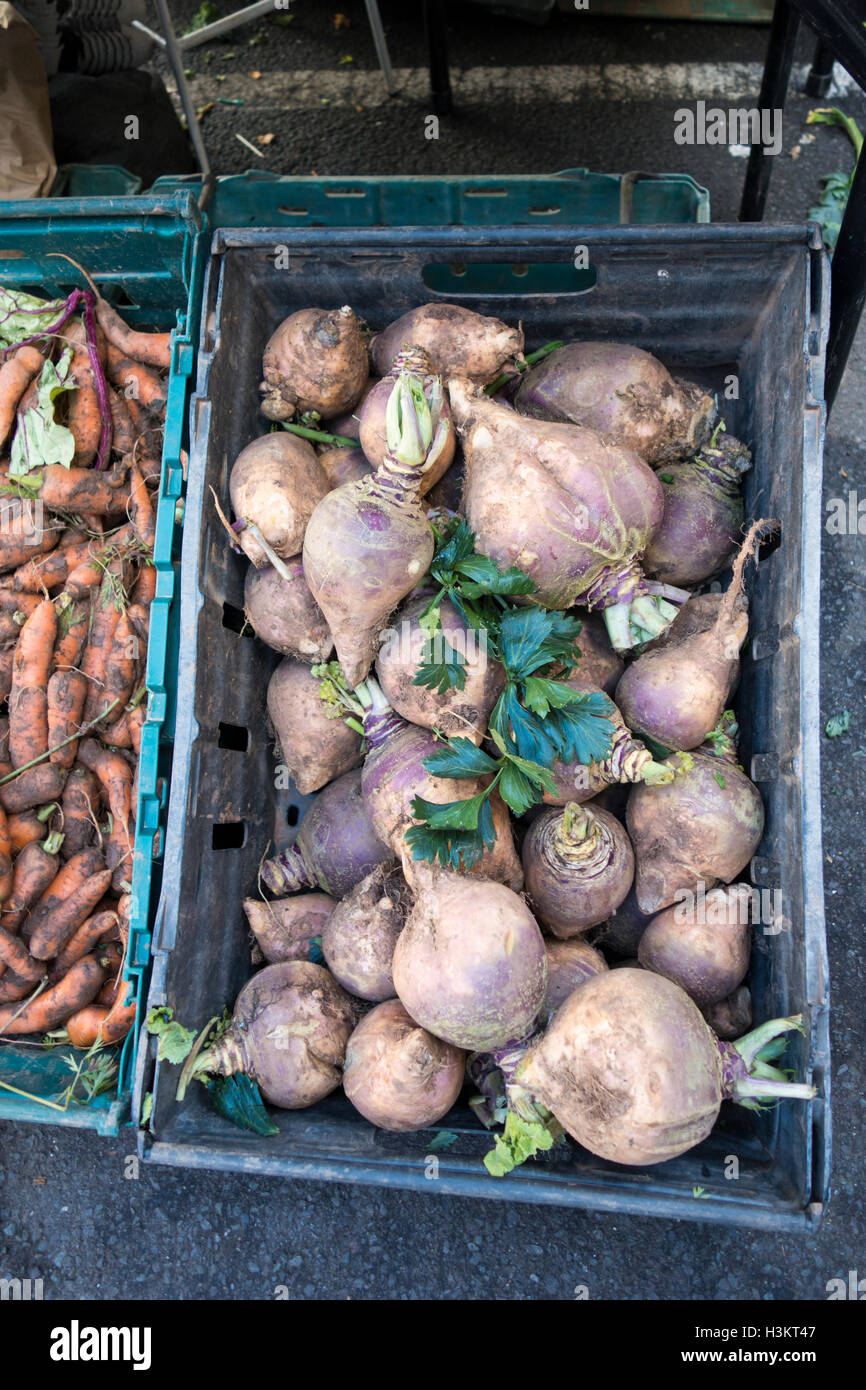 Turnips for sale at market hi-res stock photography and images - Alamy