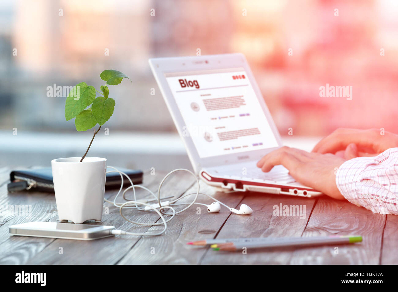 Person typing on Laptop Computer at wooden Desk with Flower Stock Photo ...