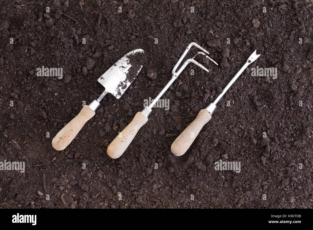 Three gardening tools placed at an angle in rich black soil as seen ...