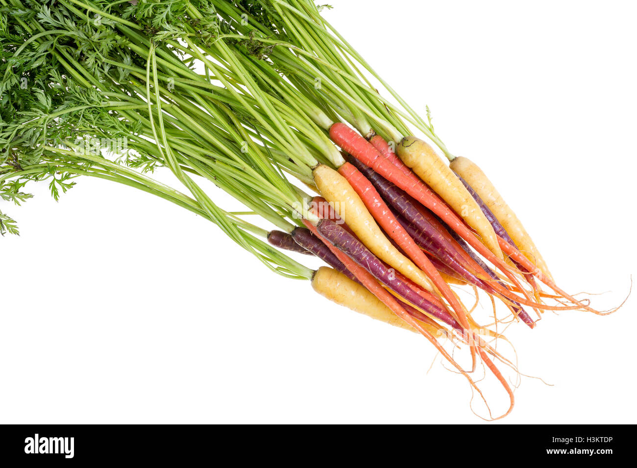 Bunch of fresh healthy organic carrots in three different colors ...