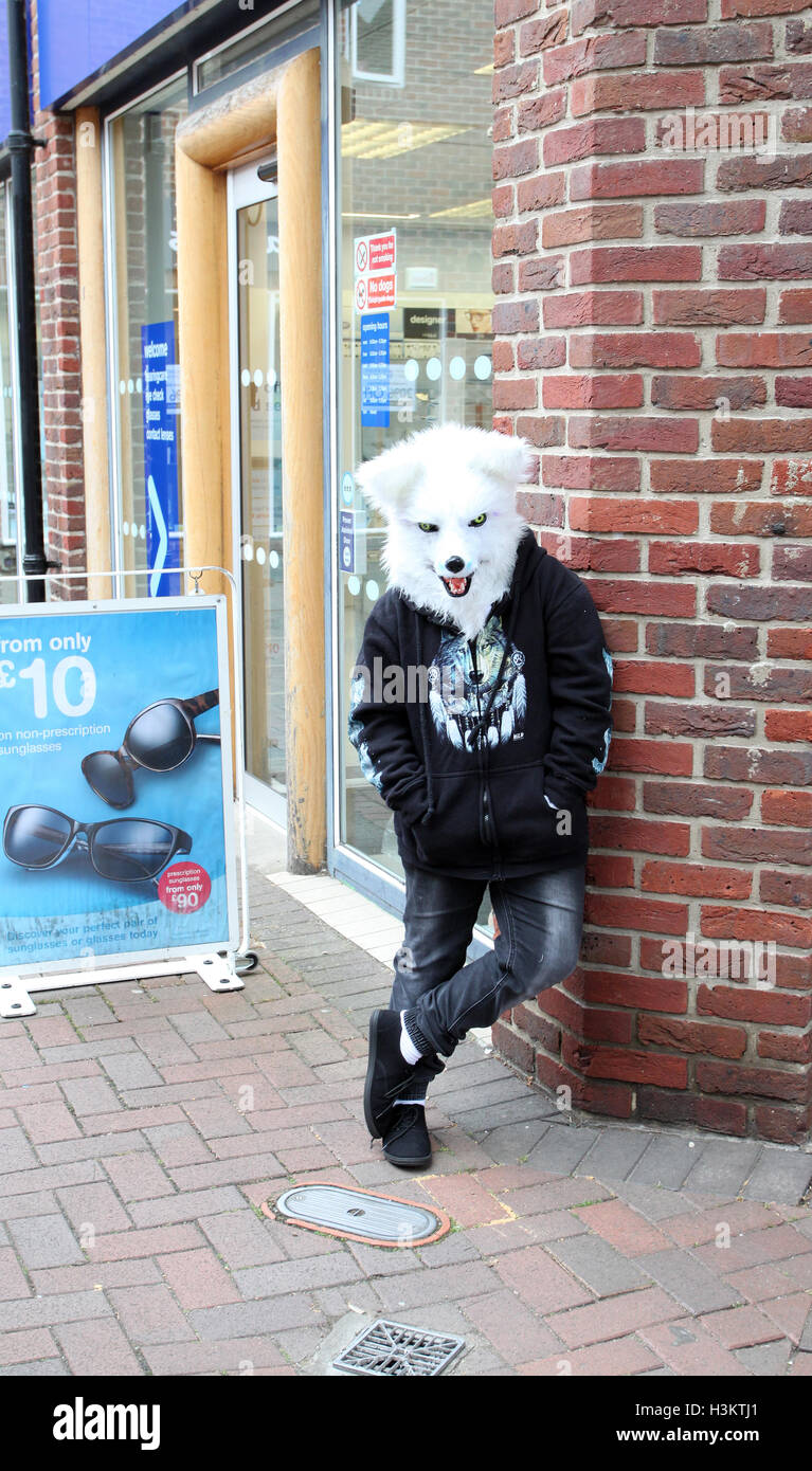 Witham Puppet Festival, Essex Stock Photo - Alamy