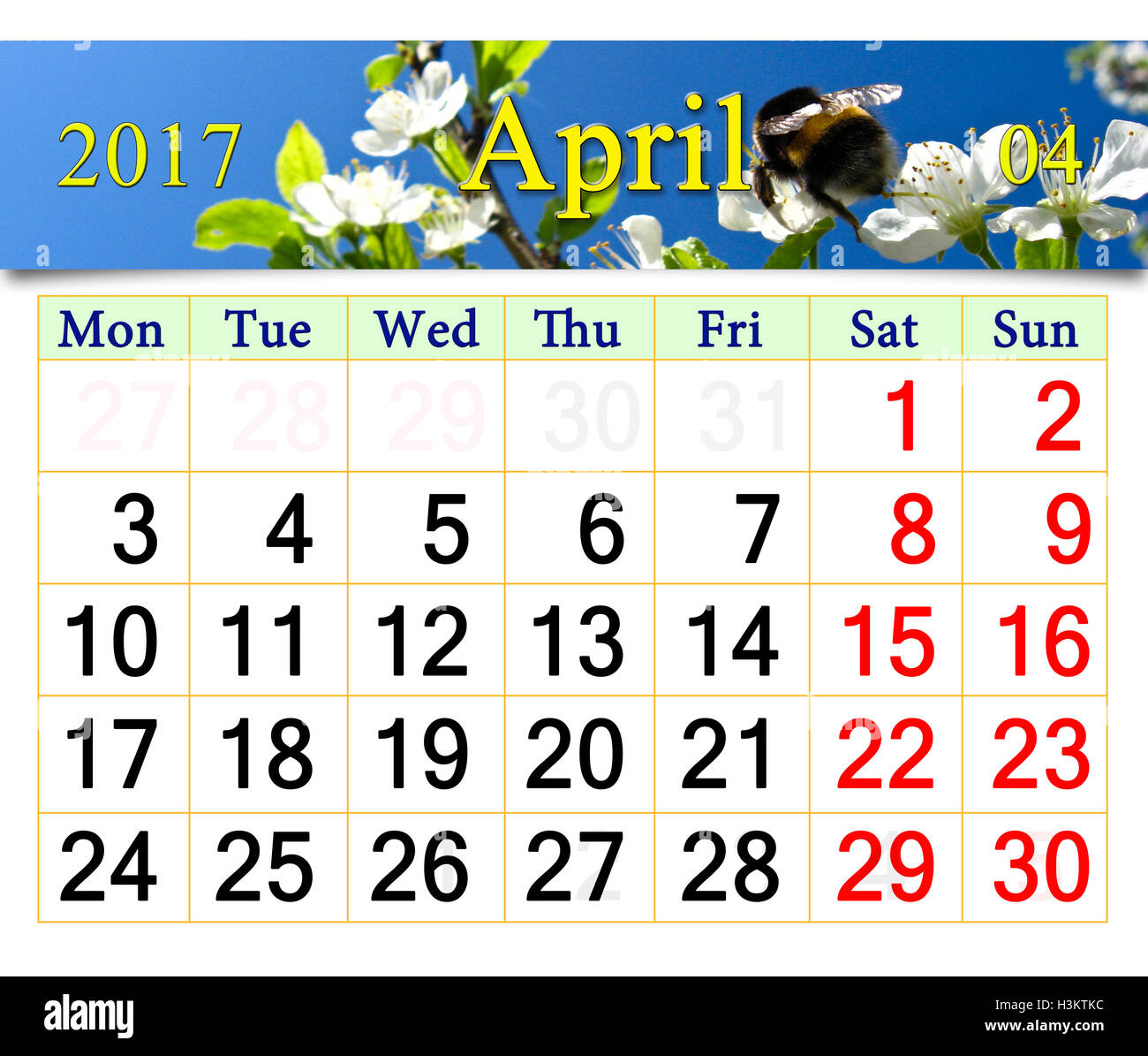 Plum blossom on tree Cut Out Stock Images & Pictures - Alamy