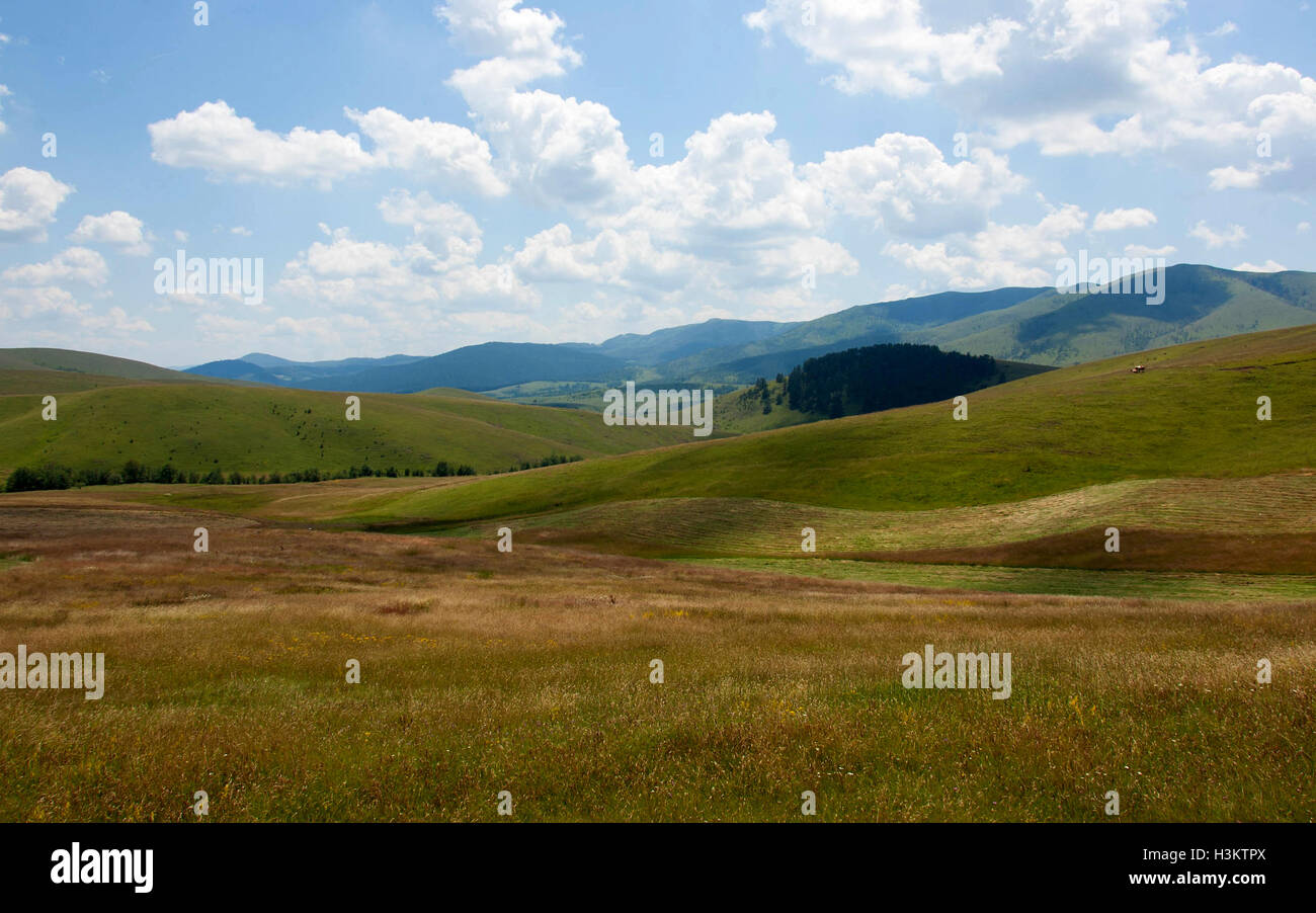 Beautiful panoramic views of the mountain Zlatibor Stock Photo - Alamy