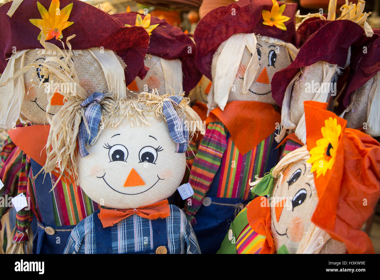 Rag Dolls Display High Resolution Stock Photography and Images - Alamy