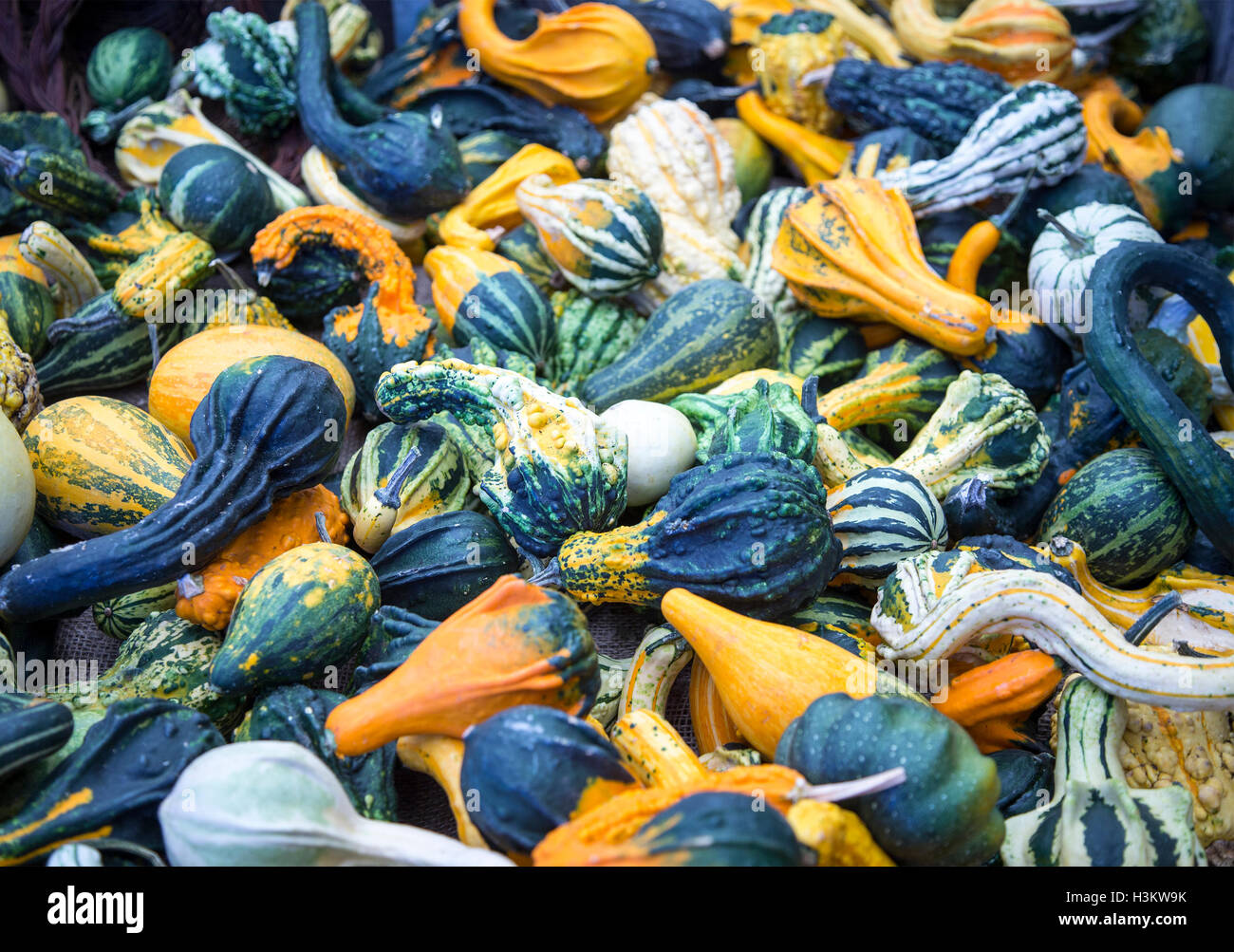 Gourds on display at a farm market Stock Photo - Alamy