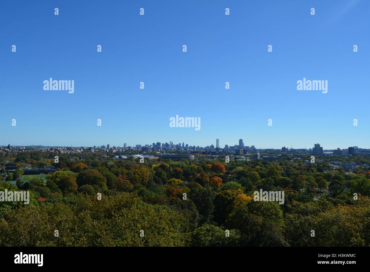 The Boston skyline with Autumn foliage, as seen from the Washington ...