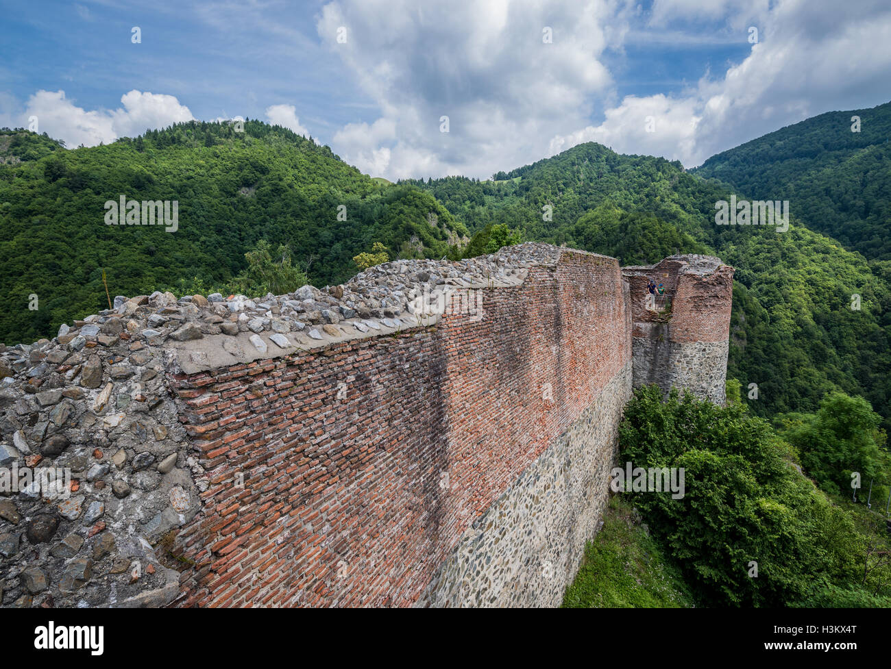 Poenari Castle also called Poenari Citadel on plateau of Mount Cetatea ...