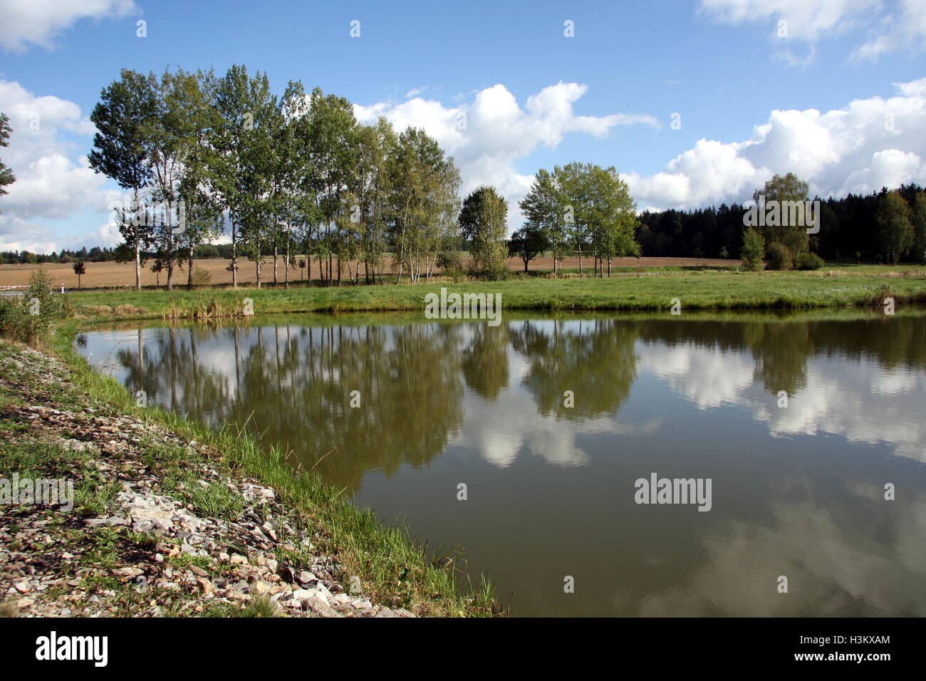 Landscape with a lake Stock Photo - Alamy