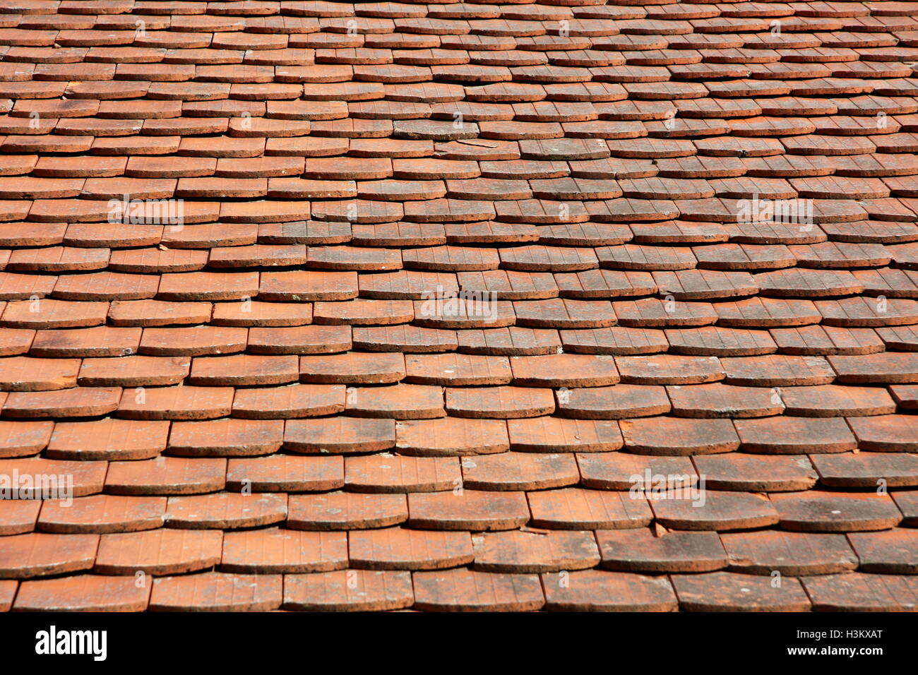 Red roof tiles Stock Photo - Alamy