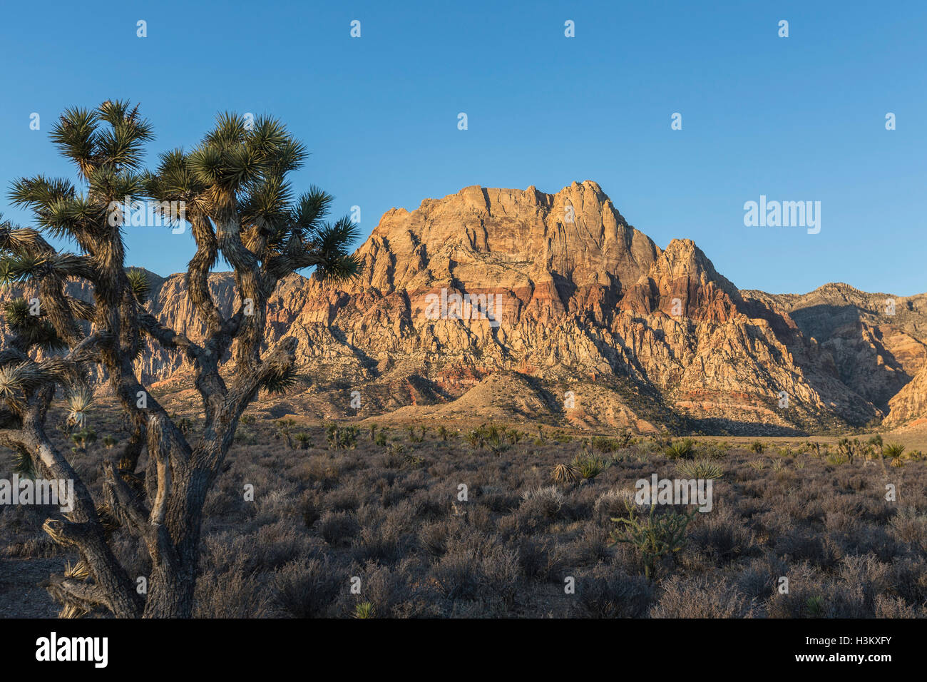 Dawn light on Mt Wilson in Red Rock Canyon National Conservation Area ...