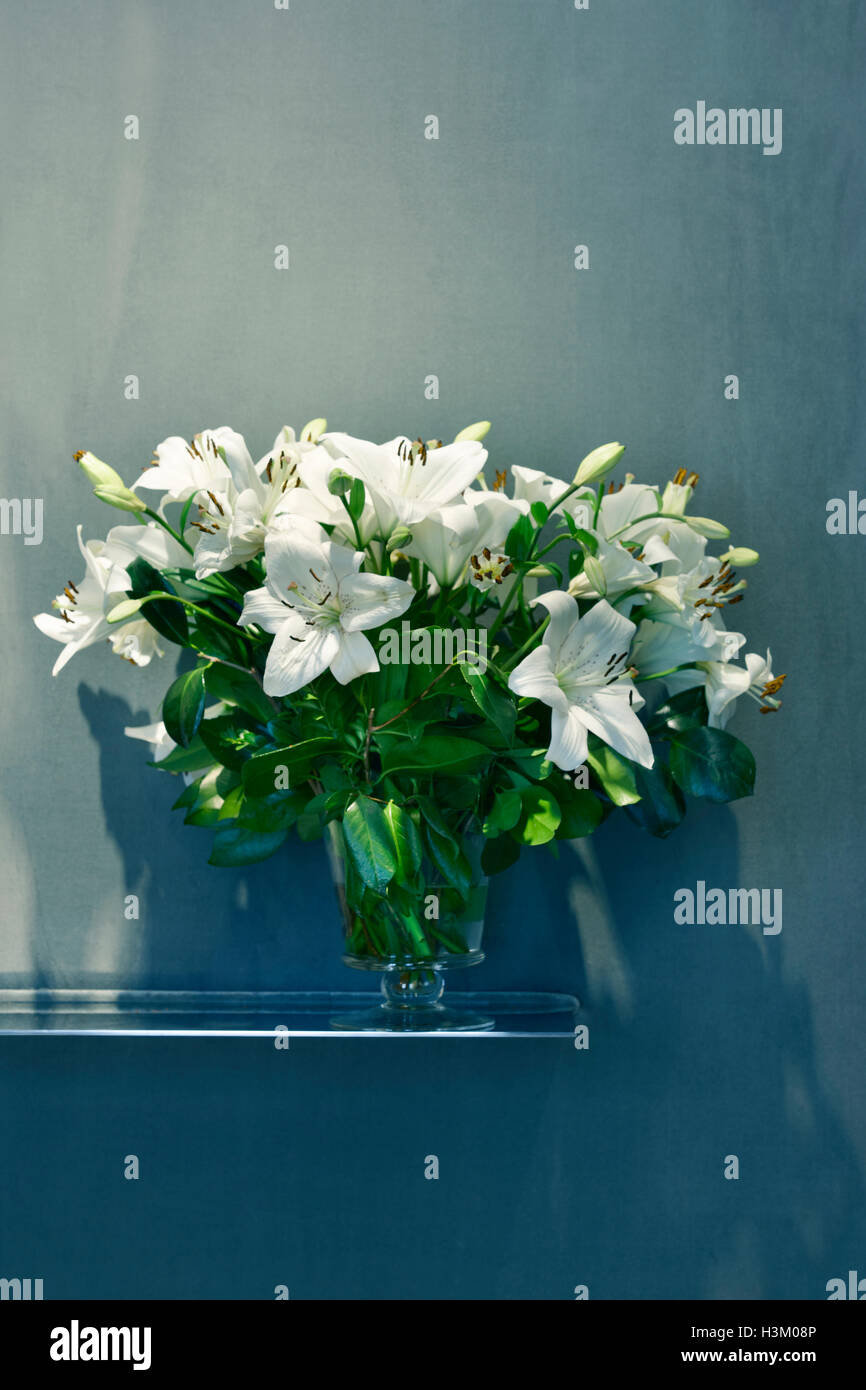 Open and closed lilies hi-res stock photography and images - Alamy