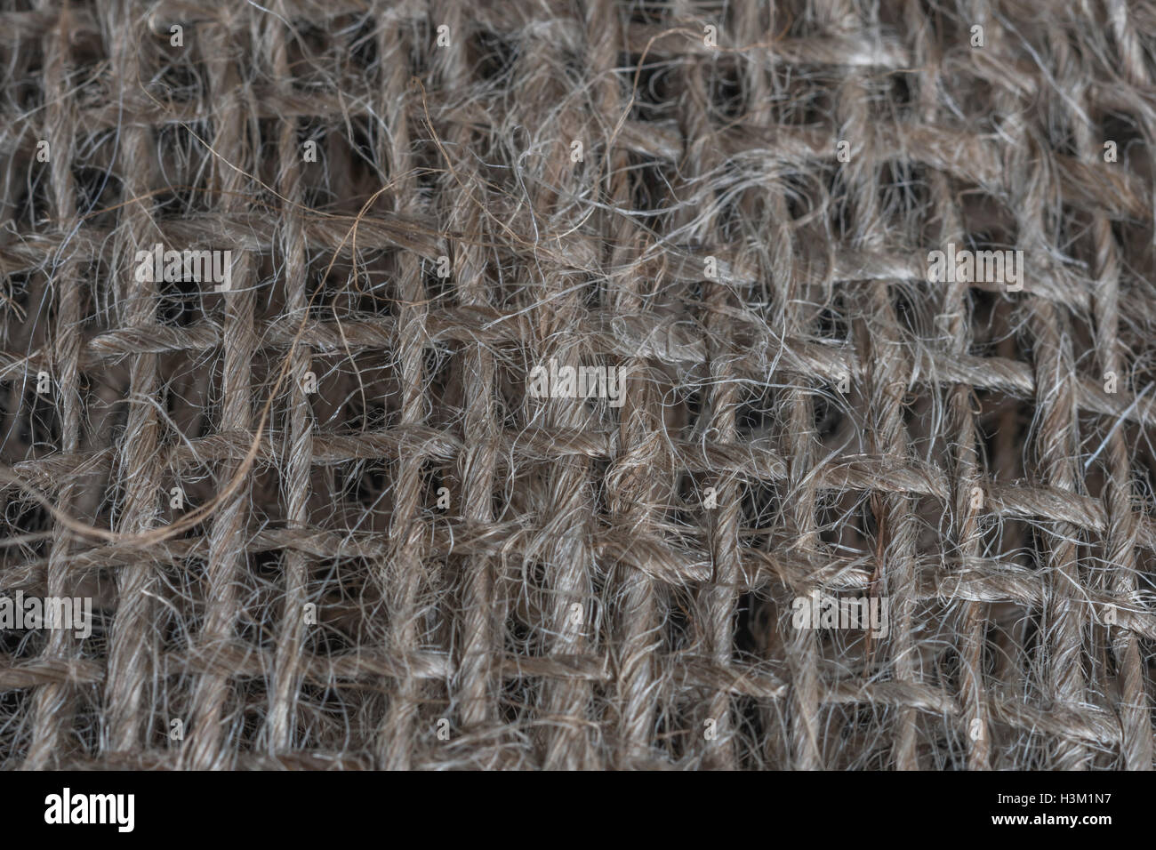 Macro-photo of natural fibre, jute-like, sacking material showing ...