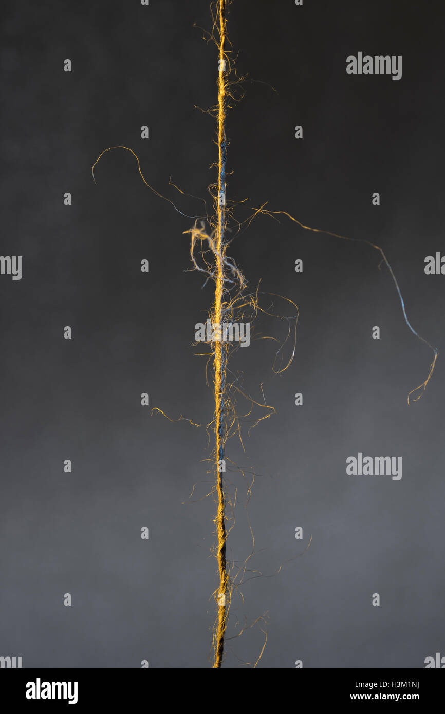 Piece of frayed natural fiber string against a dark background - visual ...
