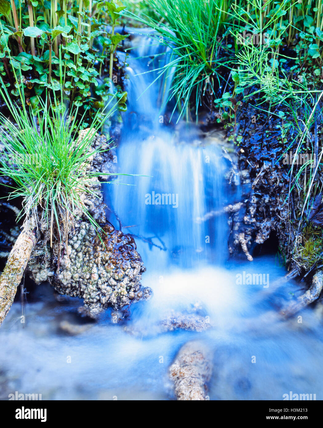 Creek waterfall rushing green meadow grass plants Stock Photo - Alamy