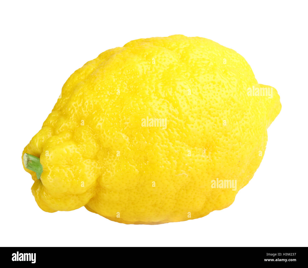 Single fresh yellow lemon Stock Photo - Alamy