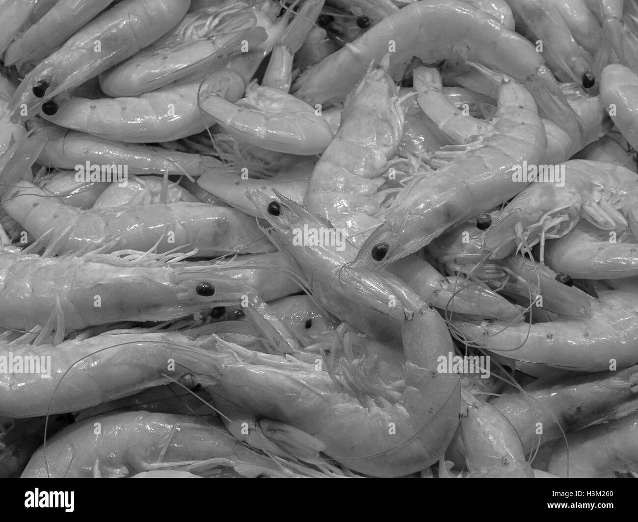 Shrimp texture Black and White Stock Photos & Images - Alamy