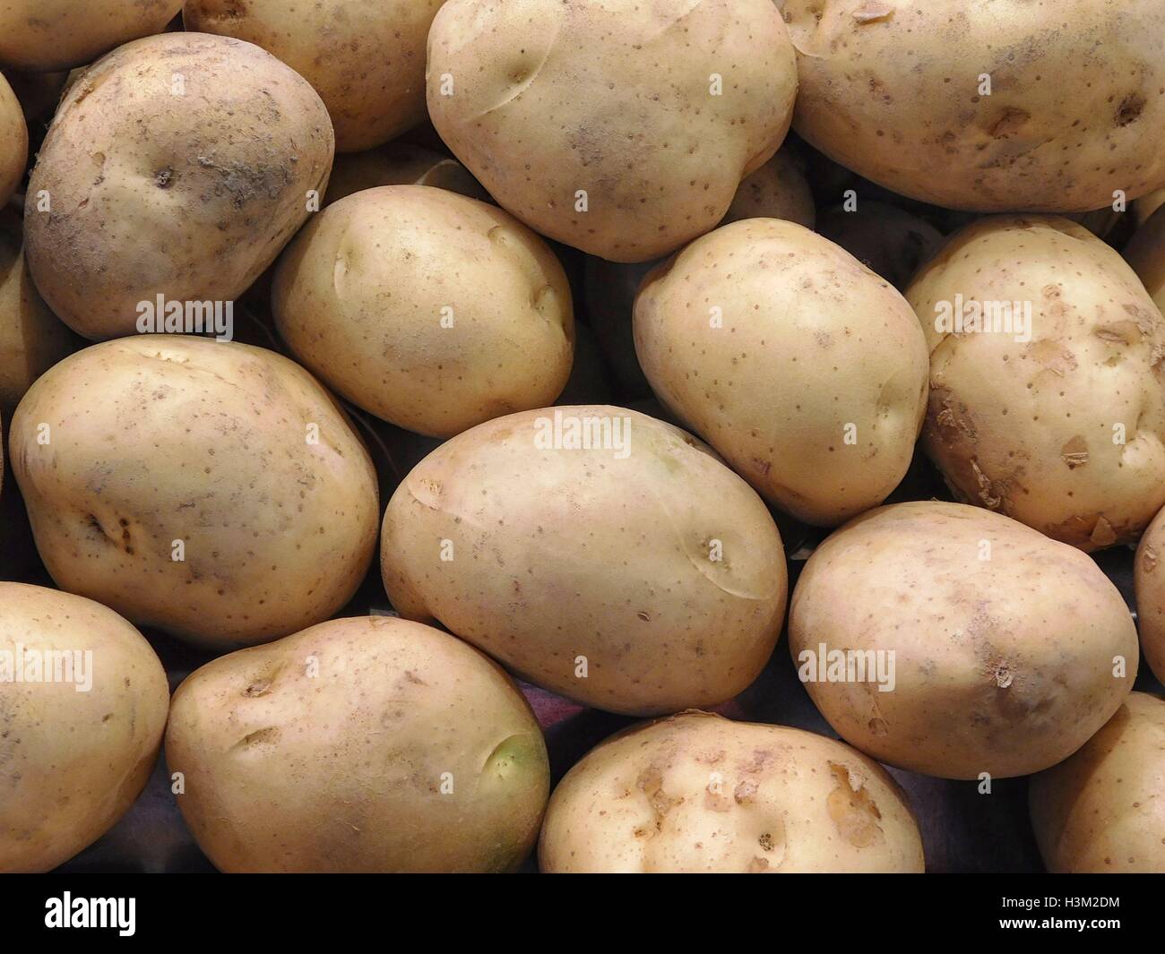 Fresh raw yukon gold potato hi-res stock photography and images - Alamy
