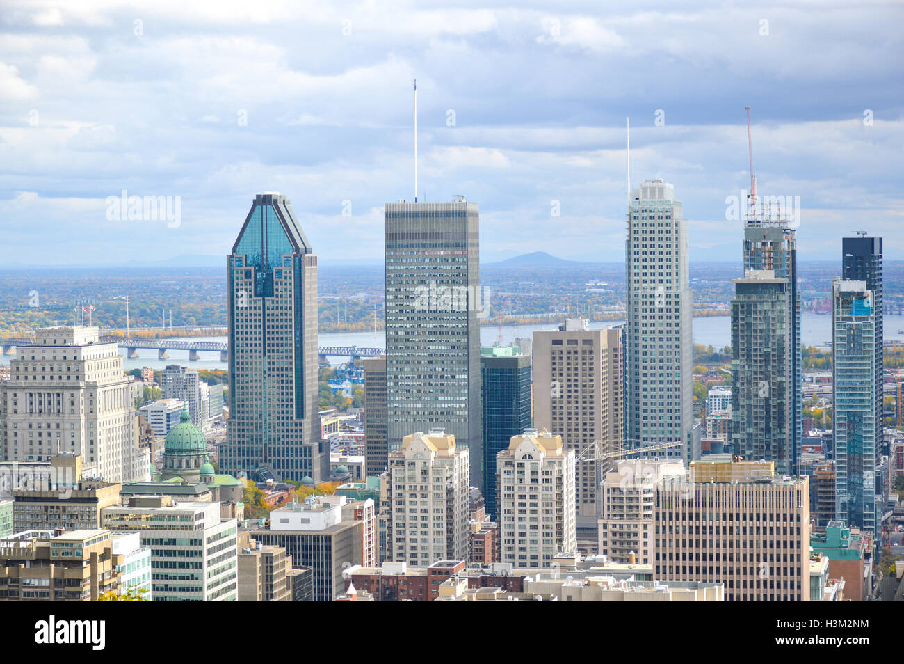 Montreal yellow tree hi-res stock photography and images - Alamy