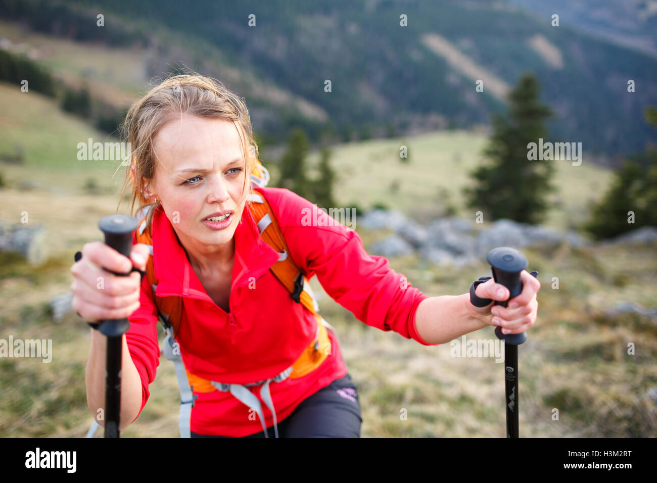 Pretty, young female hiker having a tough walk uphill Stock Photo - Alamy