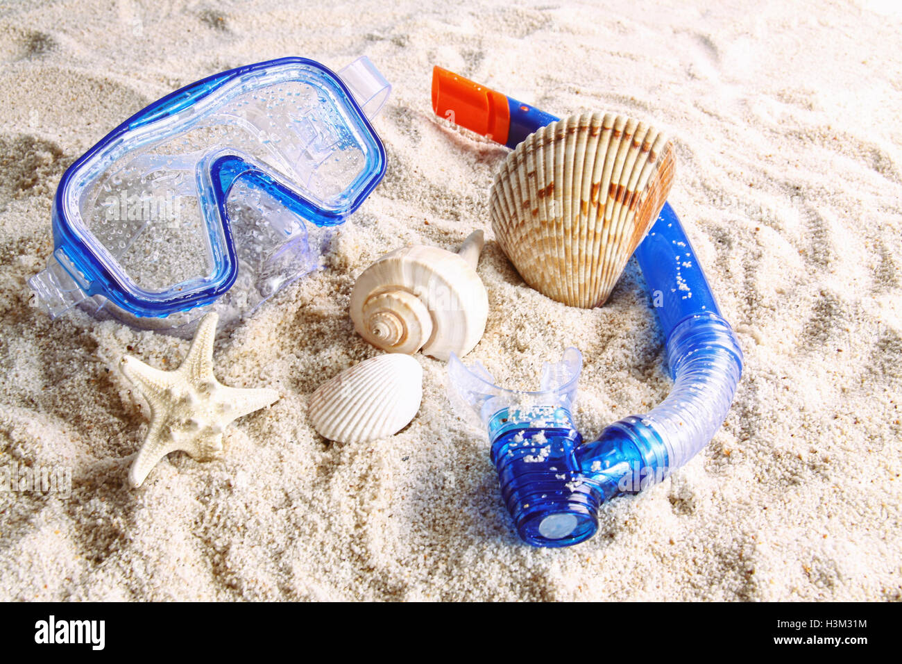 Summer beach toys in the sand Stock Photo - Alamy