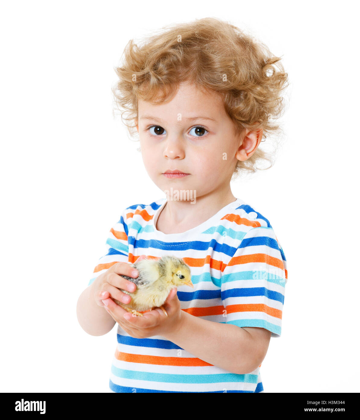 Boy with cute chickens Stock Photo - Alamy