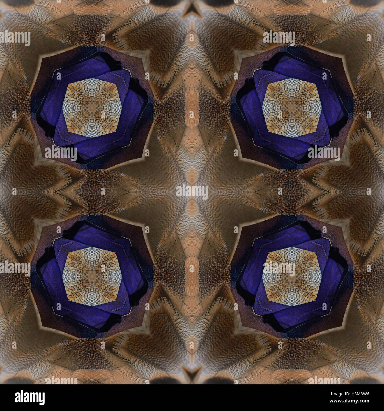 Duck feather pattern hi-res stock photography and images - Alamy