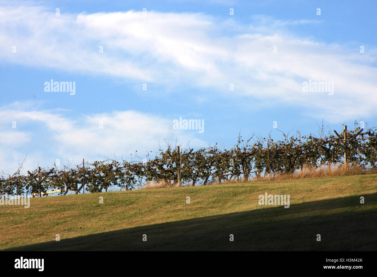 Virginia climate hi-res stock photography and images - Alamy