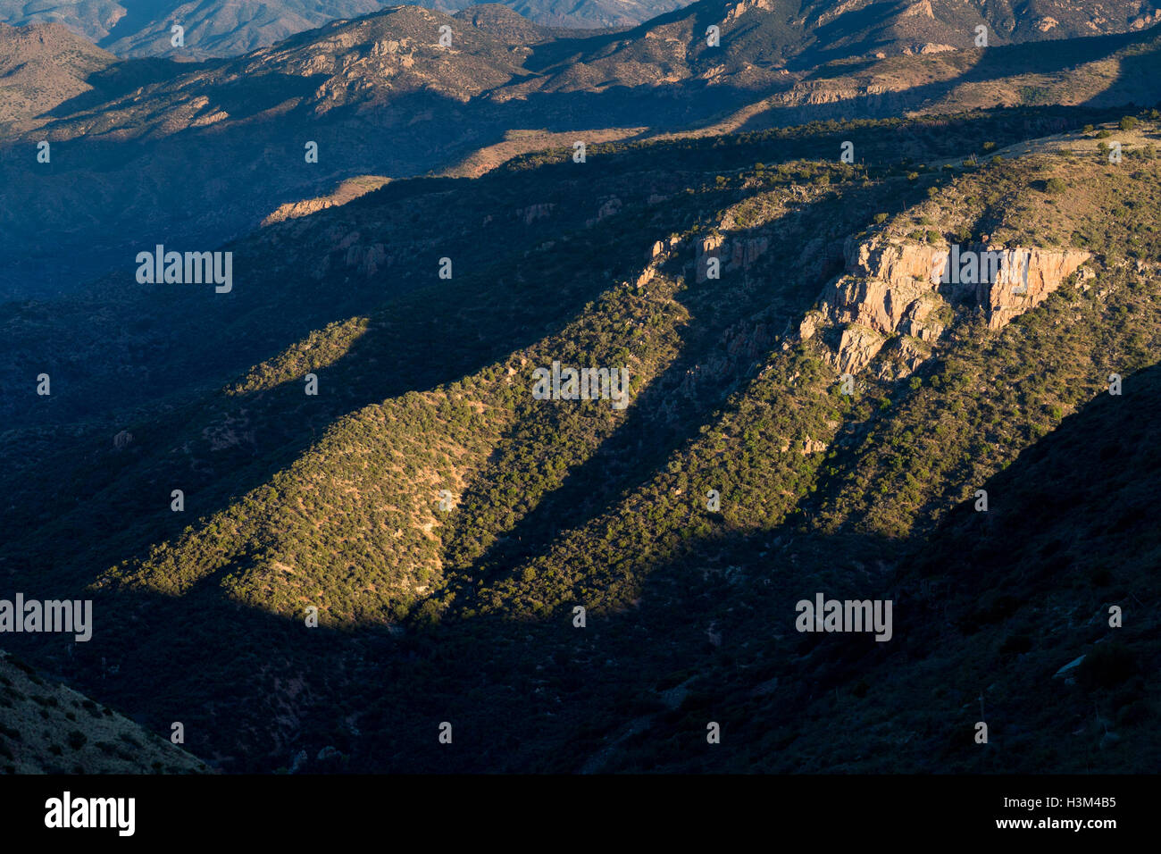 The Superstition Mountain foothills covered in high desert vegetation ...
