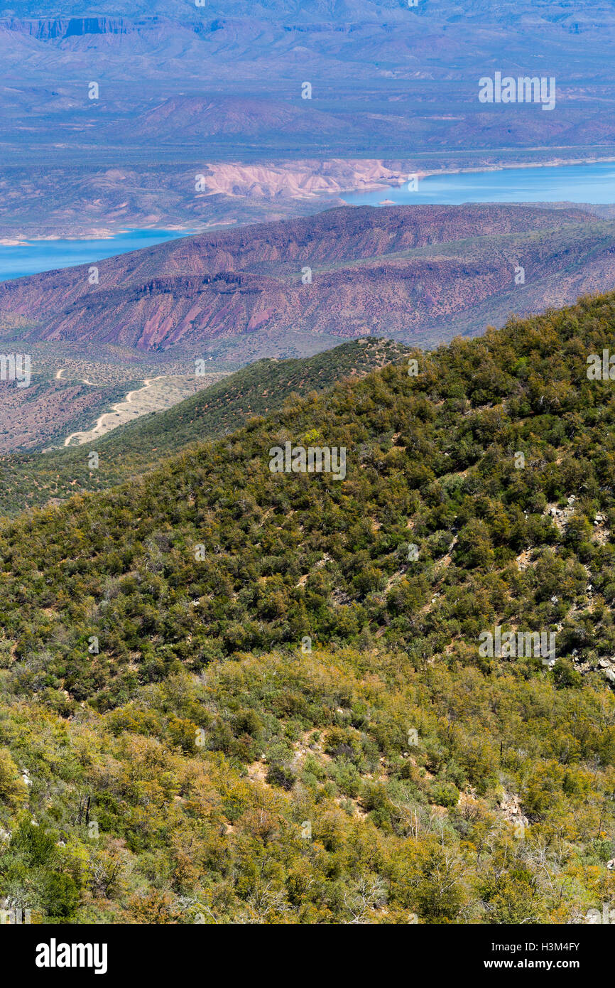 The Sierra Ancha Mountain foothills beyond Roosevelt Lake below the ...