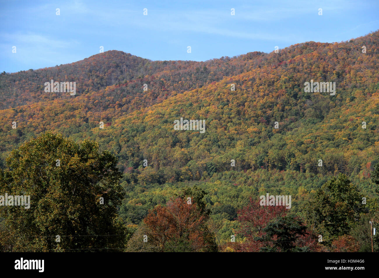 Fall landscape in Blue Ridge Mountains, Virginia, USA Stock Photo - Alamy