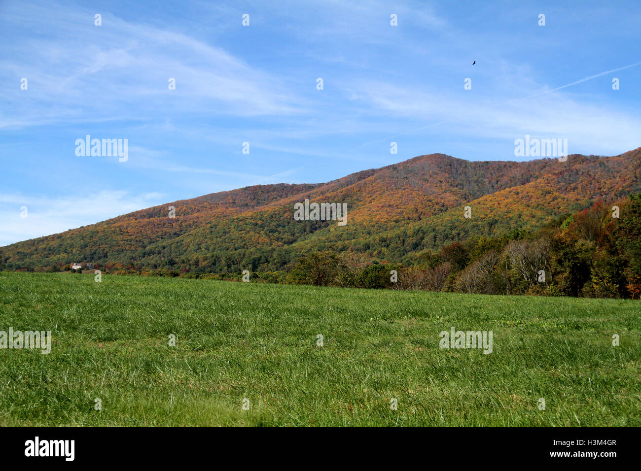 Respect the land hi-res stock photography and images - Alamy