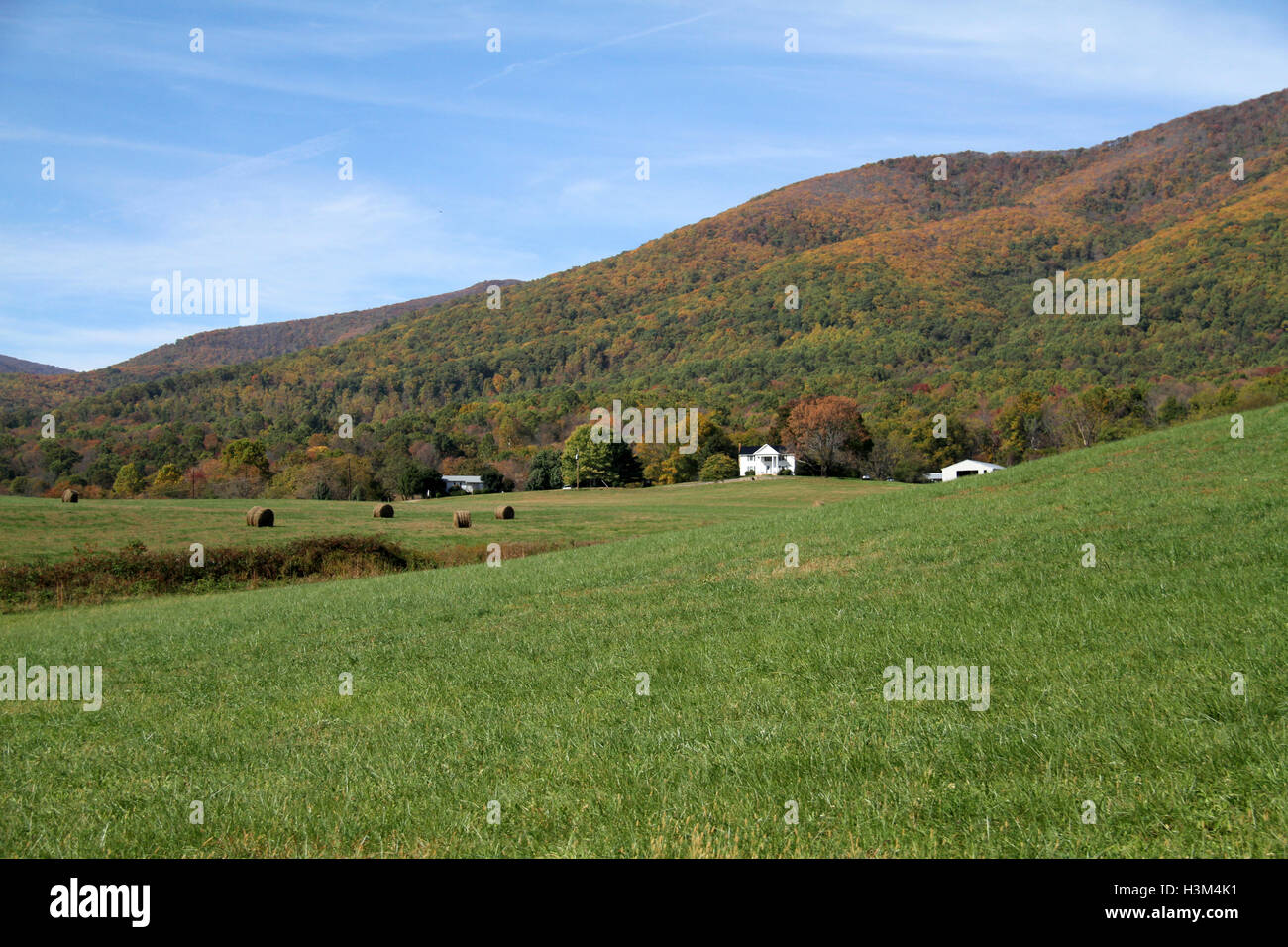Fall landscape in Blue Ridge Mountains, Virginia, with farm and hay ...