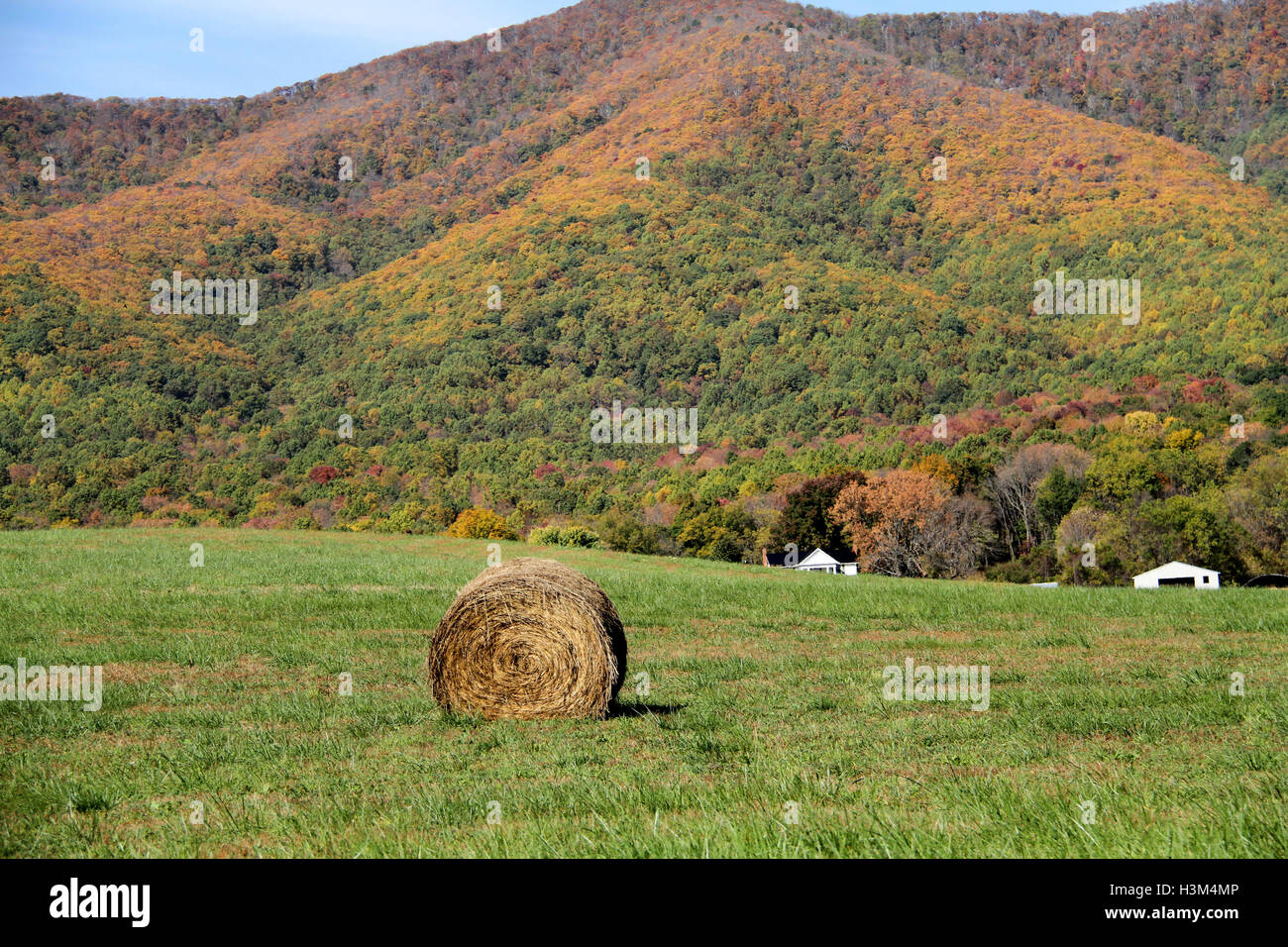 Fall landscape in Virginia, with hay bales and hills Stock Photo - Alamy