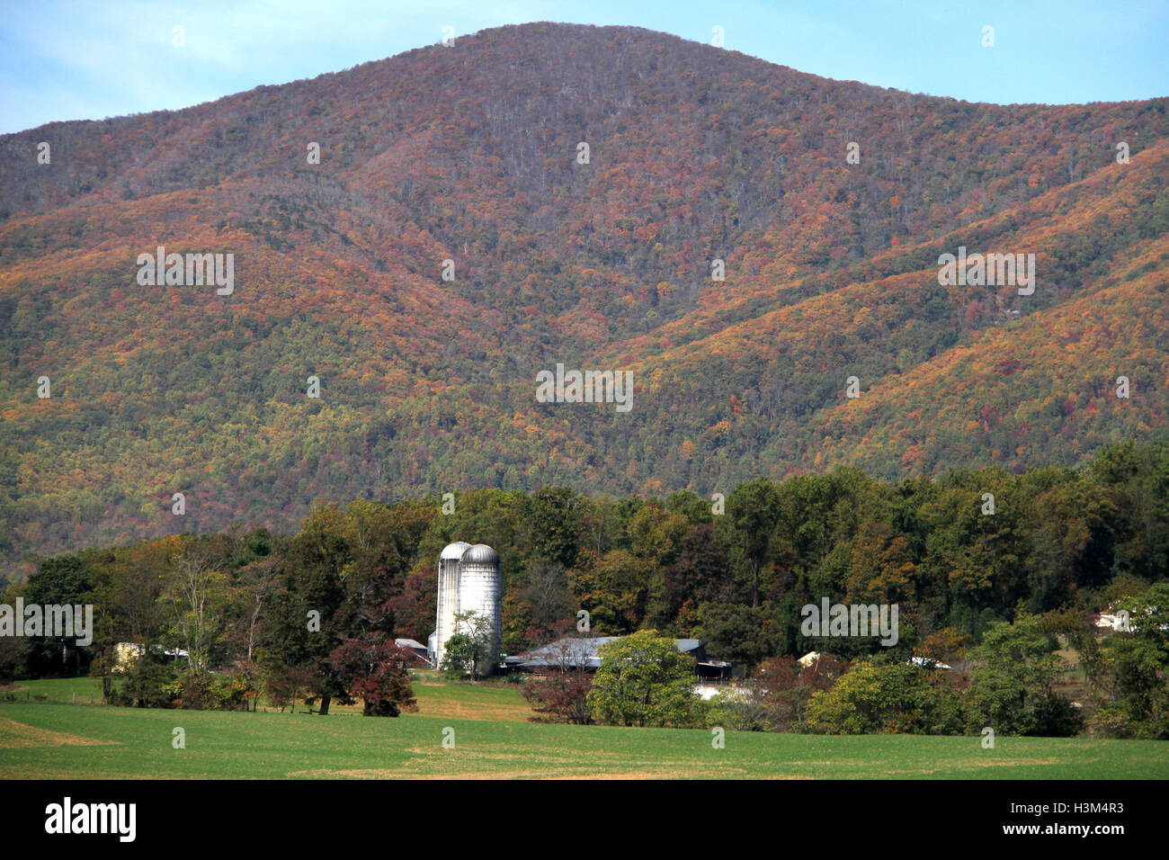 Fall landscape in Blue Ridge Mountains, Virginia, with farm and silos ...